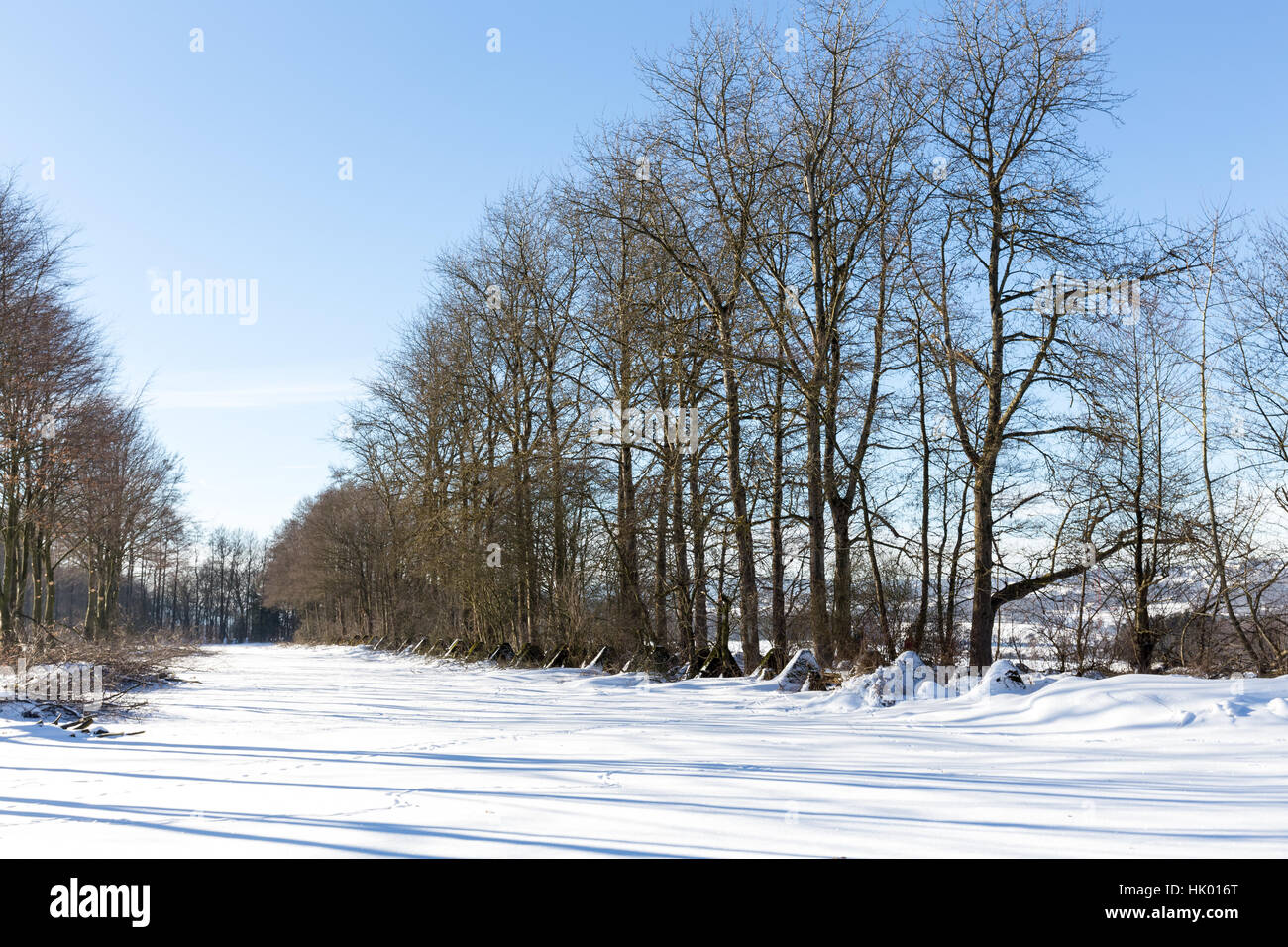 Tank obstacles in the winter - so called Siegfried Line Stock Photo - Alamy