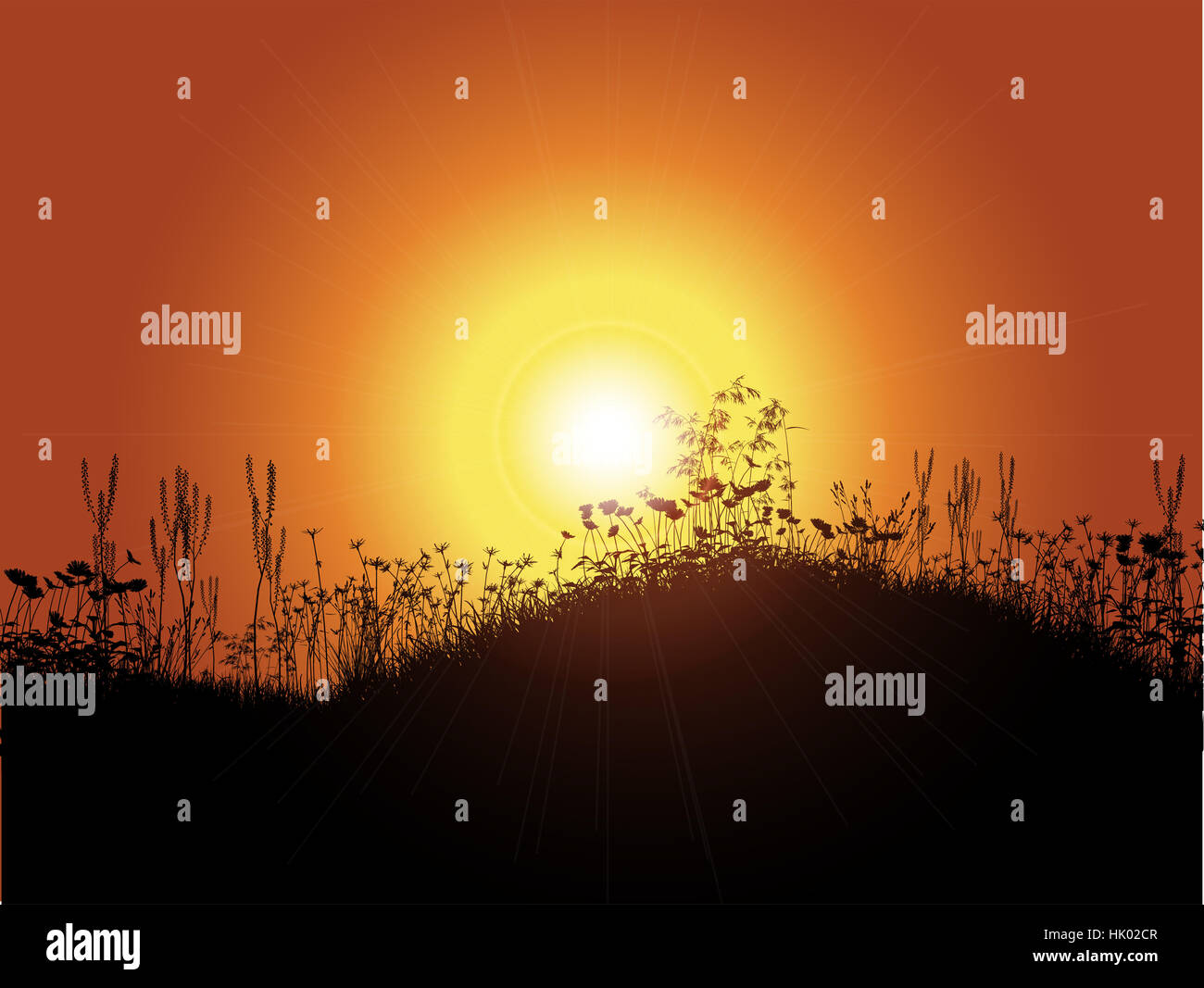 sunset, field, flower, flowers, plant, illustration, landscape, scenery ...