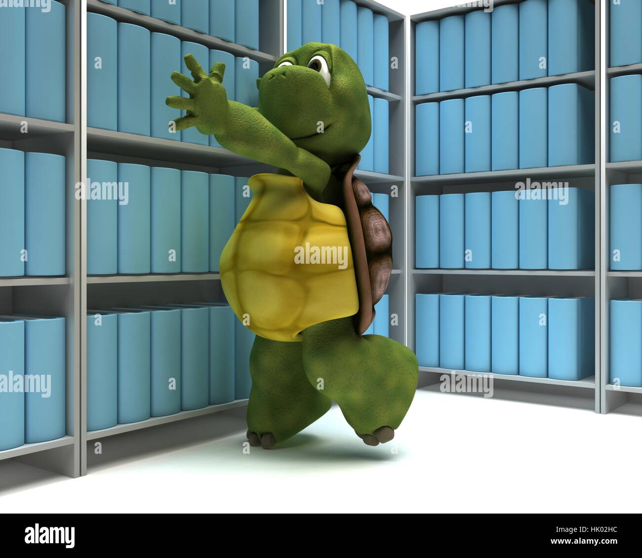 education, environment, enviroment, animal, reptile, shell, ecology ...