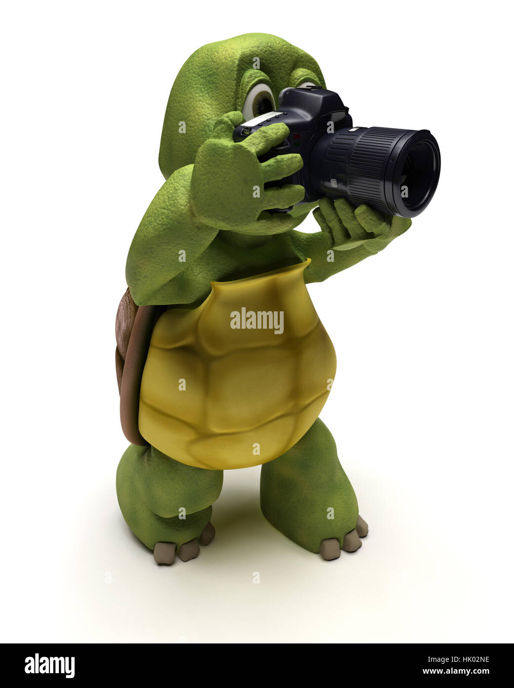 environment, enviroment, animal, reptile, shell, photo, camera ...