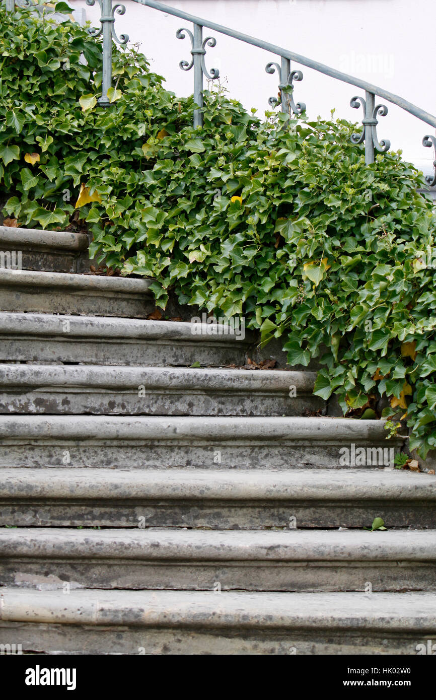 stairs, historical, diagonal, steps, stairs, historical, diagonal ...