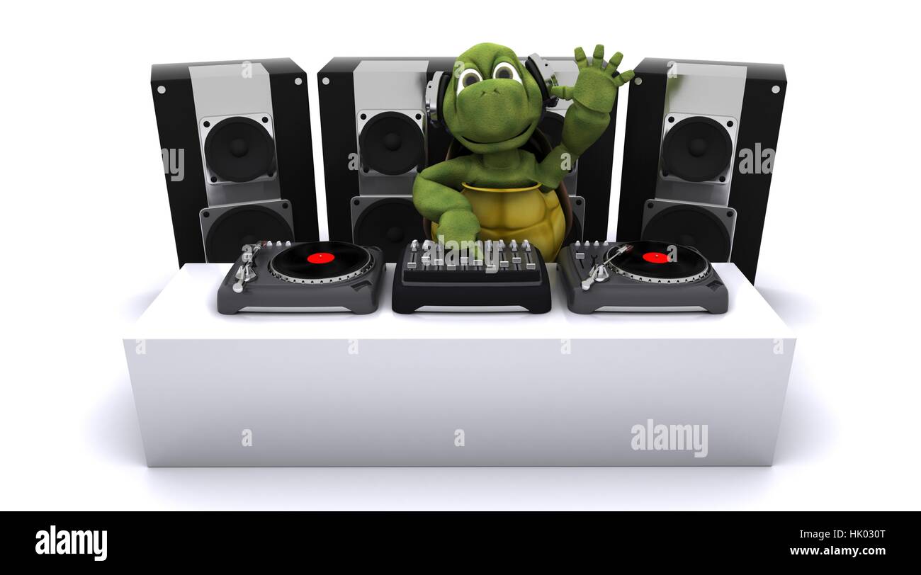 disco, environment, enviroment, music, animal, reptile, shell, party ...