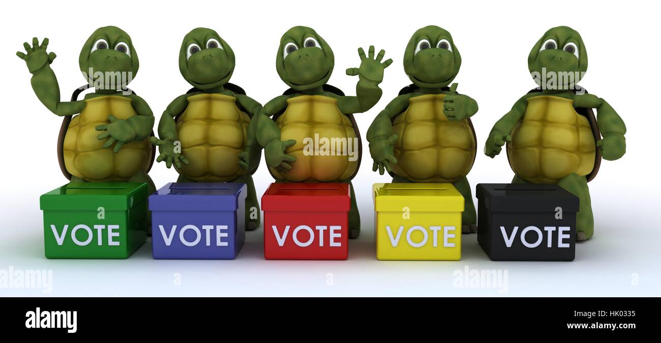 environment, enviroment, political, animal, reptile, shell, vote ...
