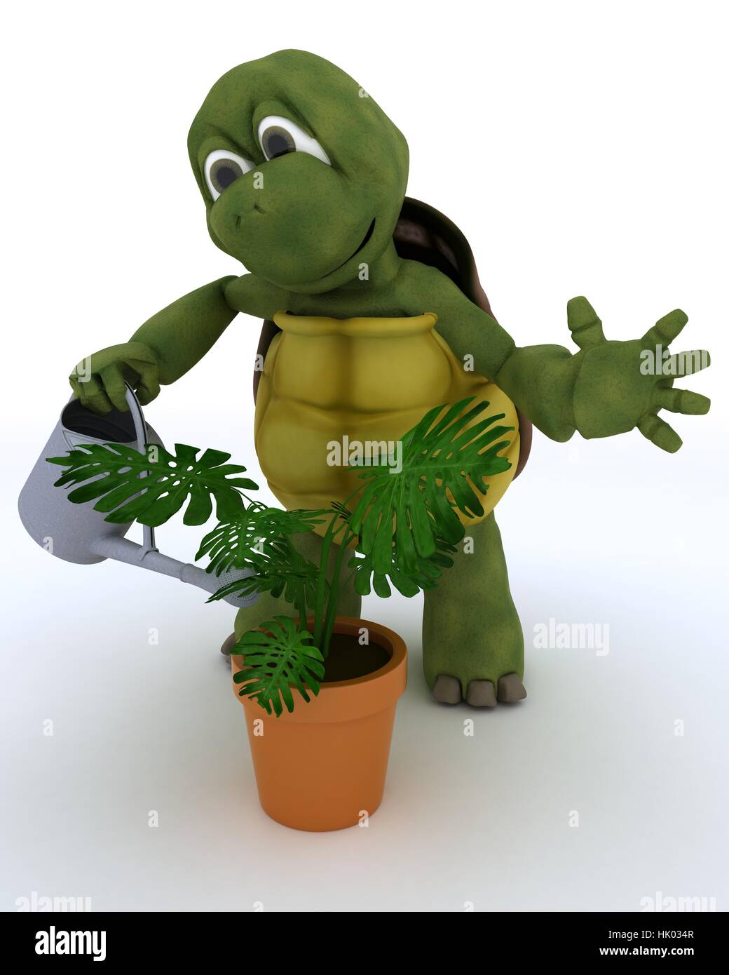 environment, enviroment, garden, animal, reptile, shell, freshness ...