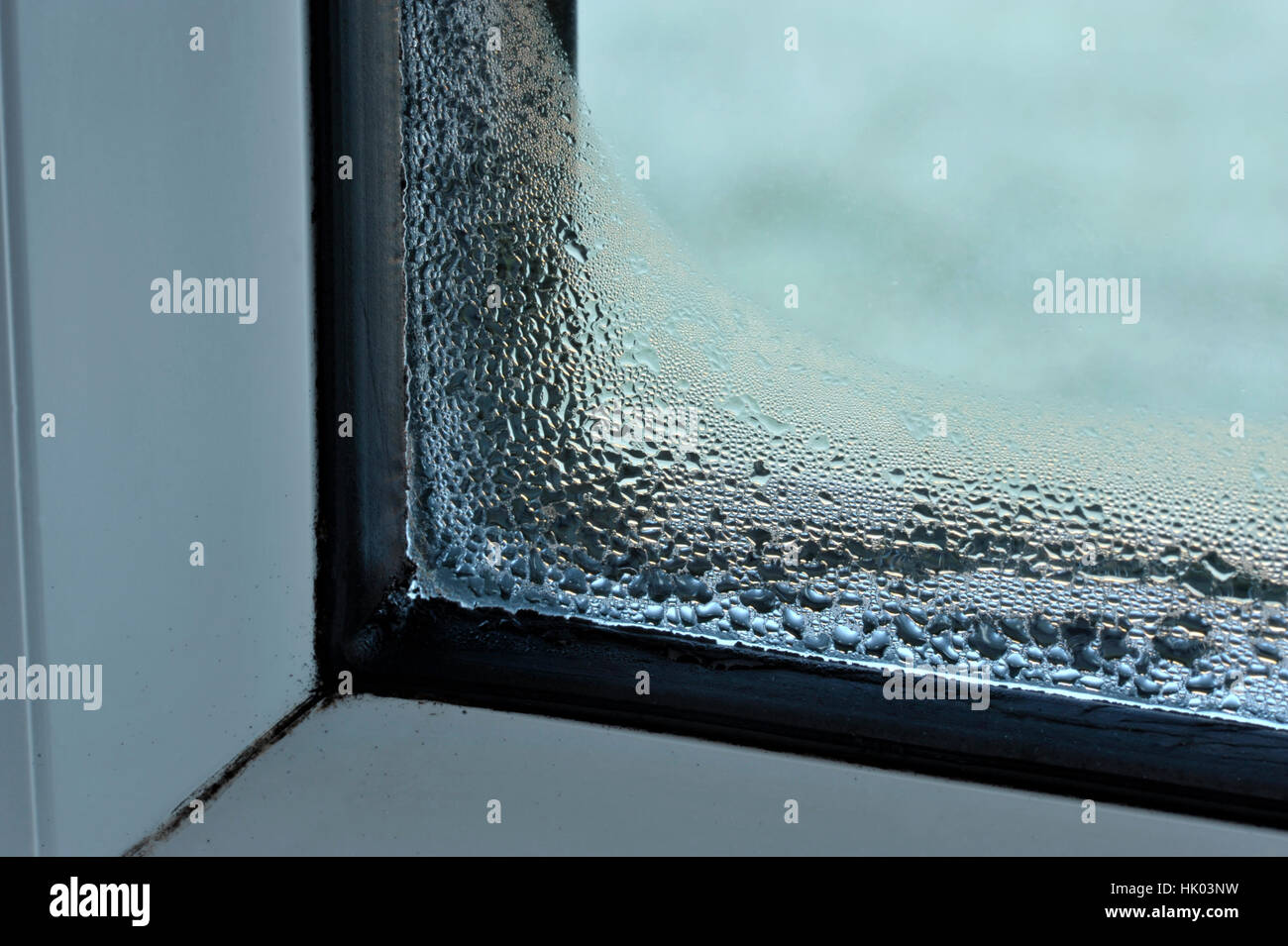 Condensation and damp problem on the inside of a double glazed window ...
