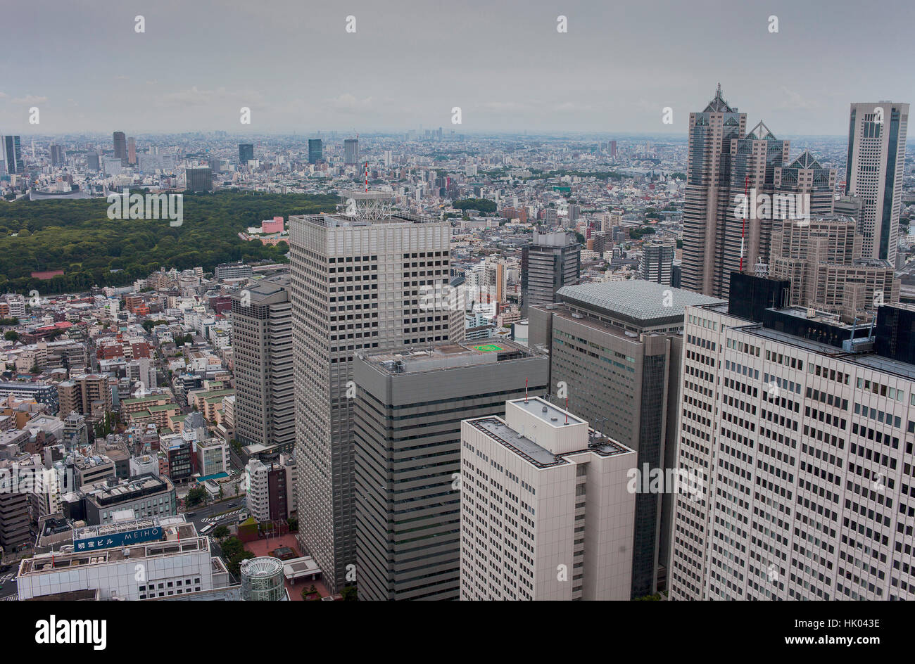 Panorama, townscape, views from Metropolitan government of tokyo ...