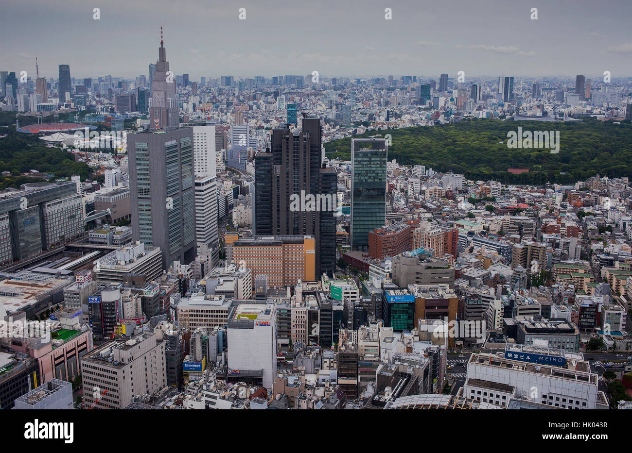 Panorama, townscape, views from Metropolitan government of tokyo ...