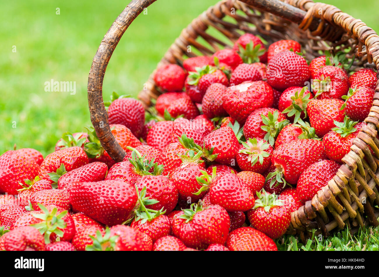 Green Strawberry Baskets