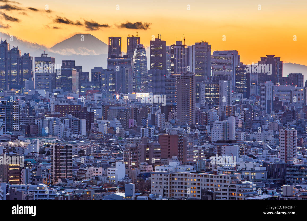 Overpopulation, townscape, Skyscrapers of Shinjuku and Mount Fuji ...