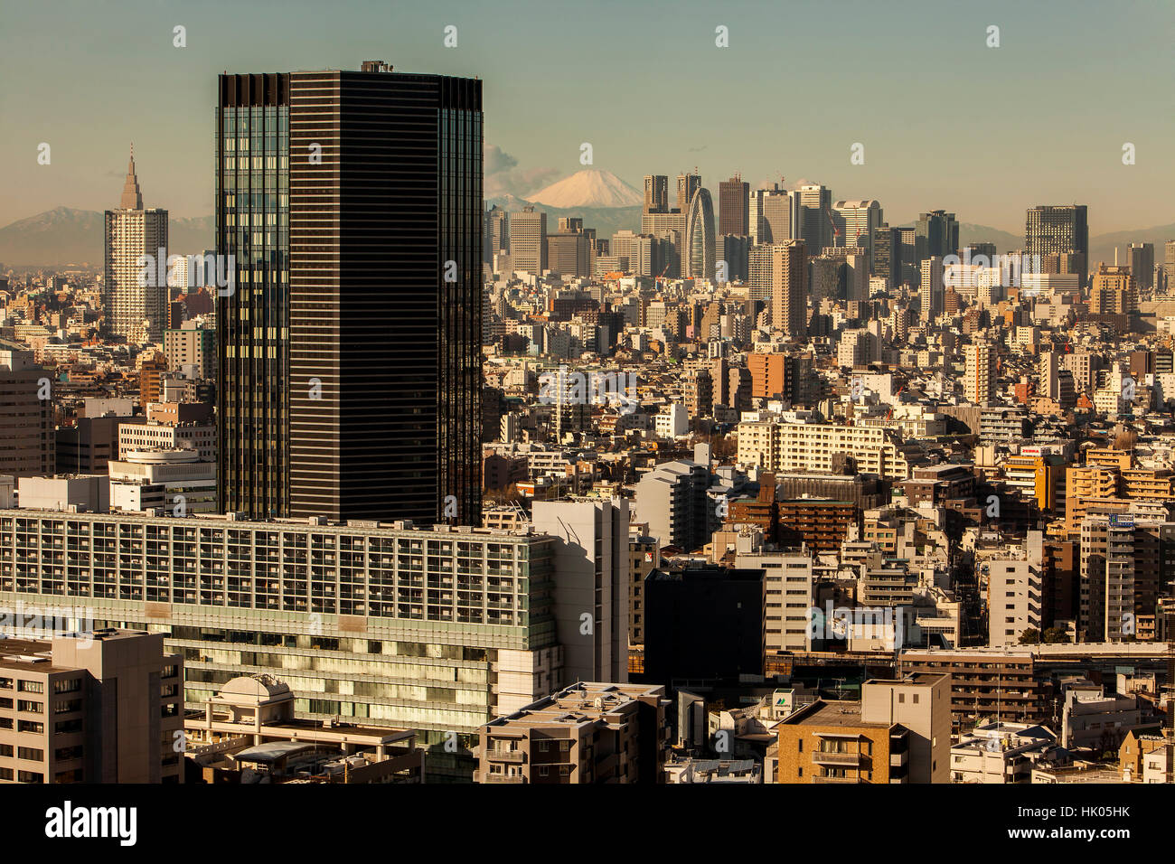 Overpopulation, townscape, Skyscrapers of Shinjuku and Mount Fuji ...