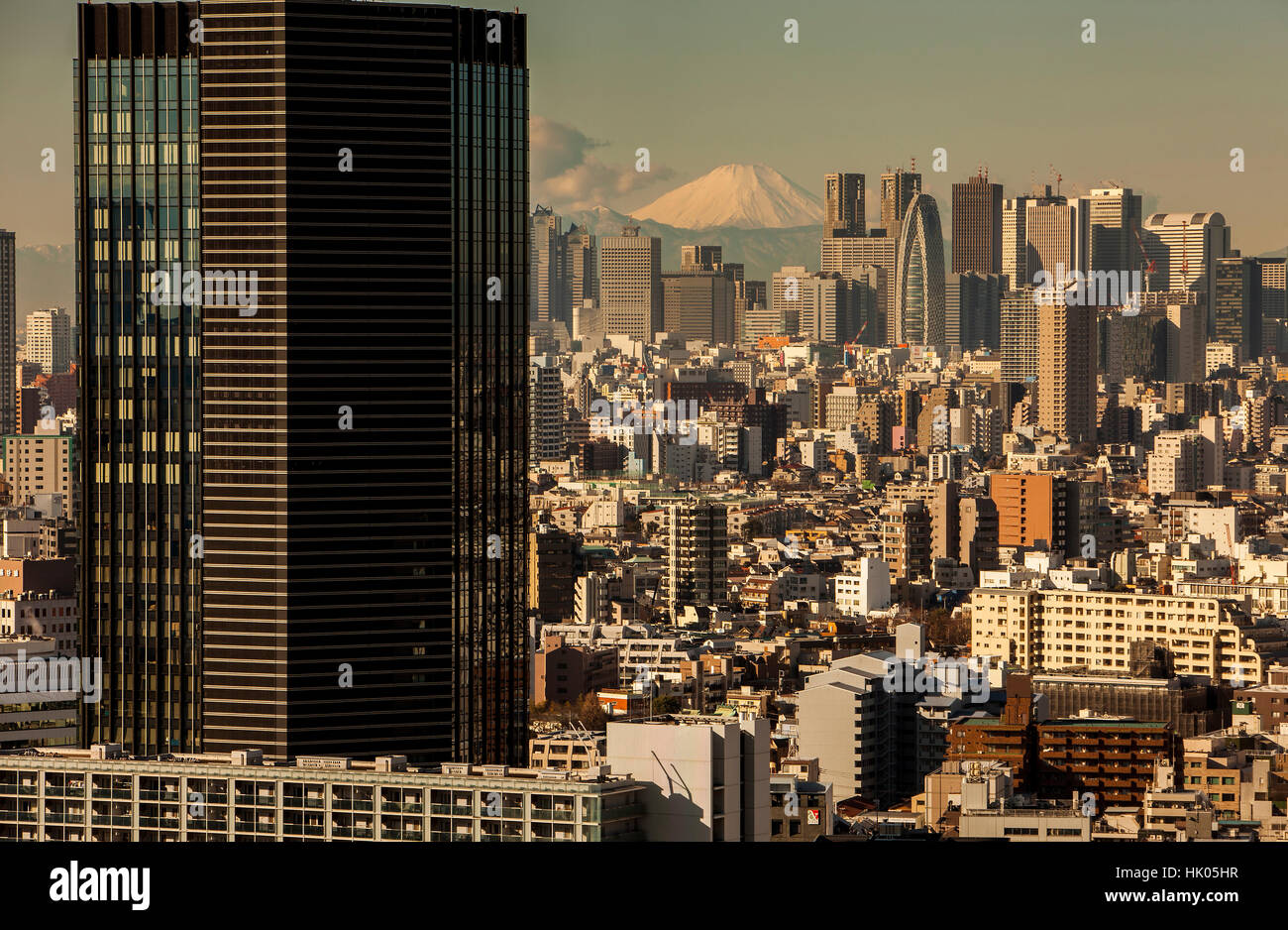 Overpopulation, townscape, Skyscrapers of Shinjuku and Mount Fuji ...