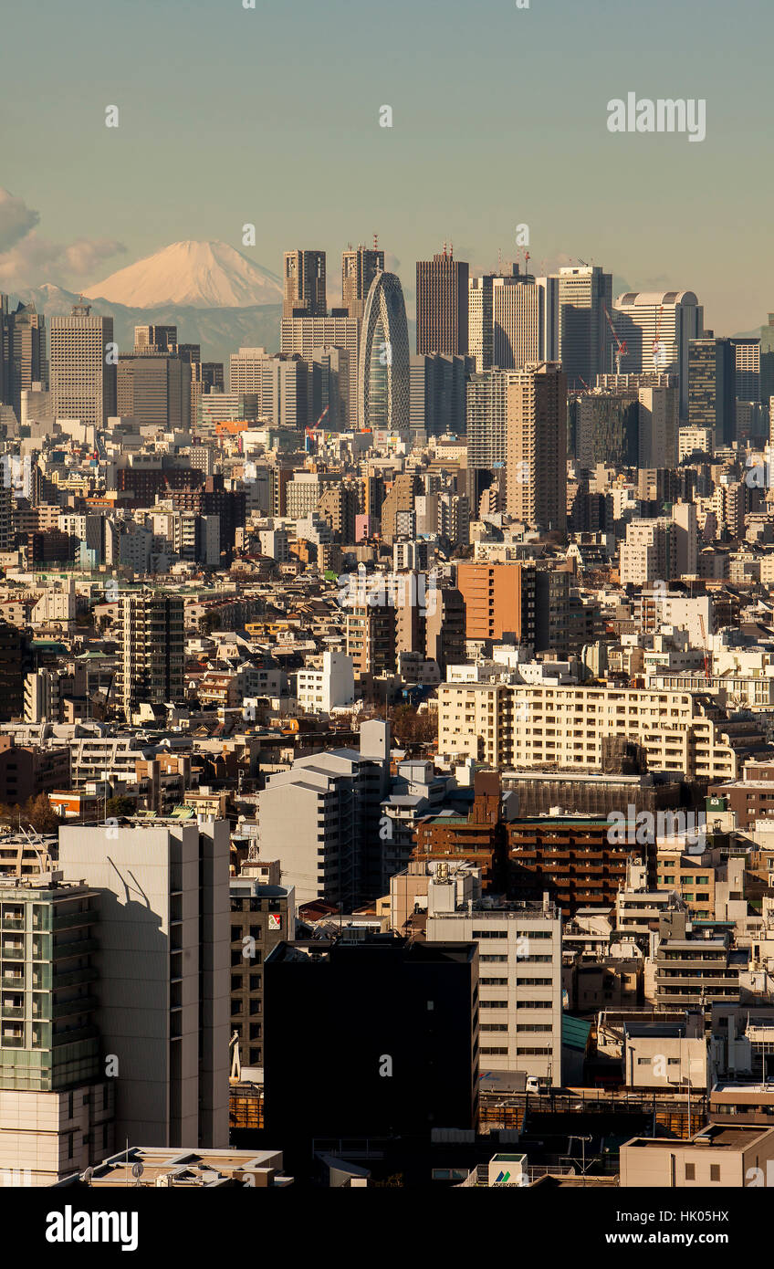 Overpopulation, townscape, Skyscrapers of Shinjuku and Mount Fuji ...