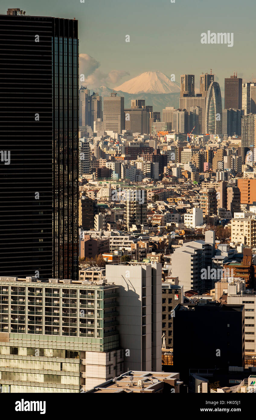 Overpopulation, townscape, Skyscrapers of Shinjuku and Mount Fuji ...