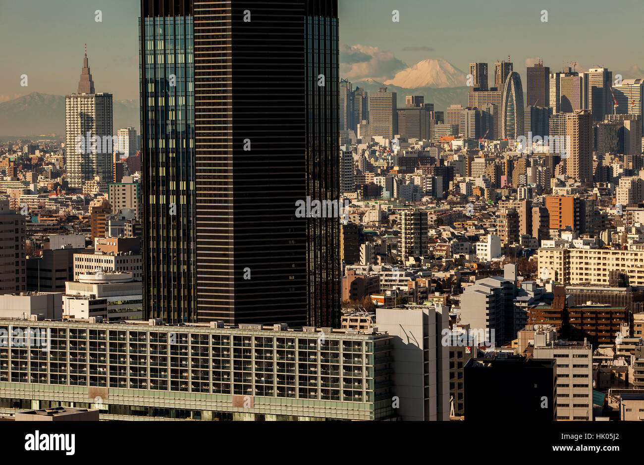Overpopulation, townscape, Skyscrapers of Shinjuku and Mount Fuji ...