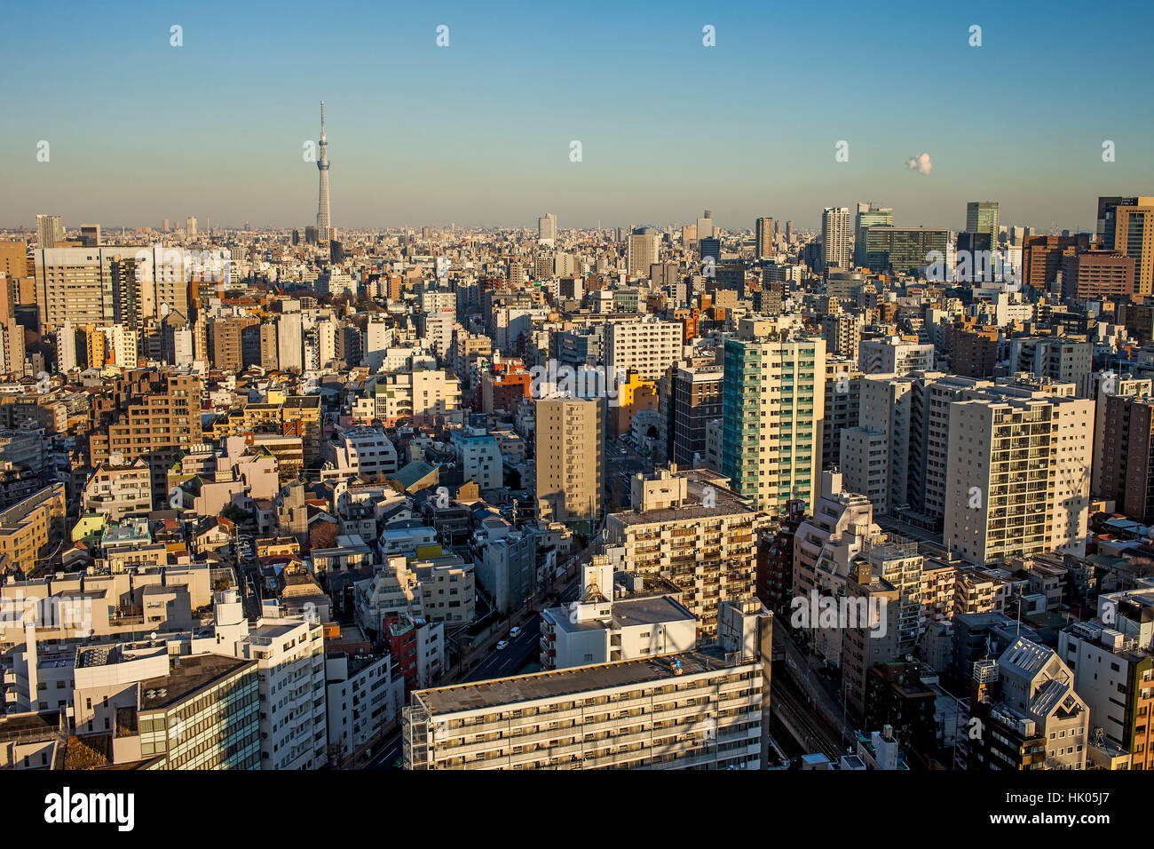 Townscape, Skyline, in background Skytree tower, Tokyo, Japan Stock ...