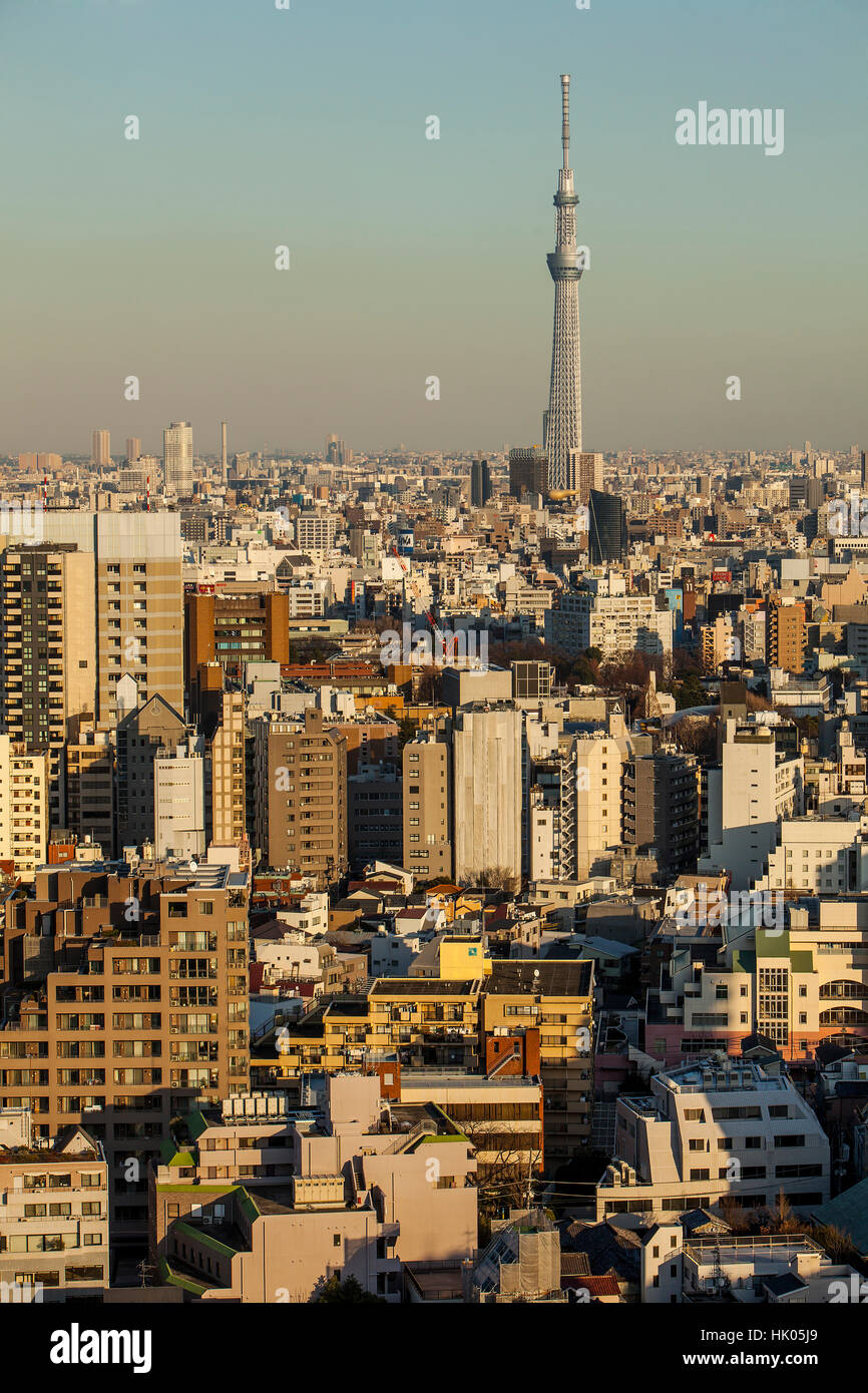Townscape, Skyline, in background Skytree tower, Tokyo, Japan Stock ...