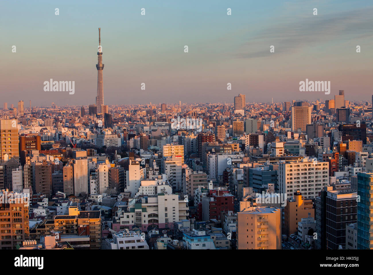 Townscape, Skyline, in background Skytree tower, Tokyo, Japan Stock ...