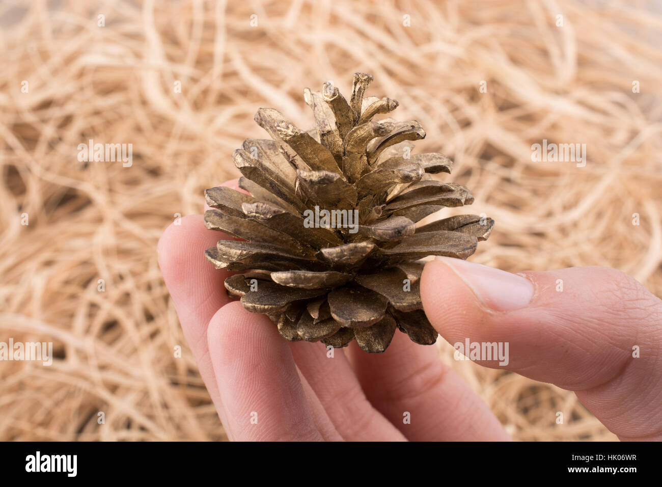 Pine cone in hand on a brown background Stock Photo - Alamy