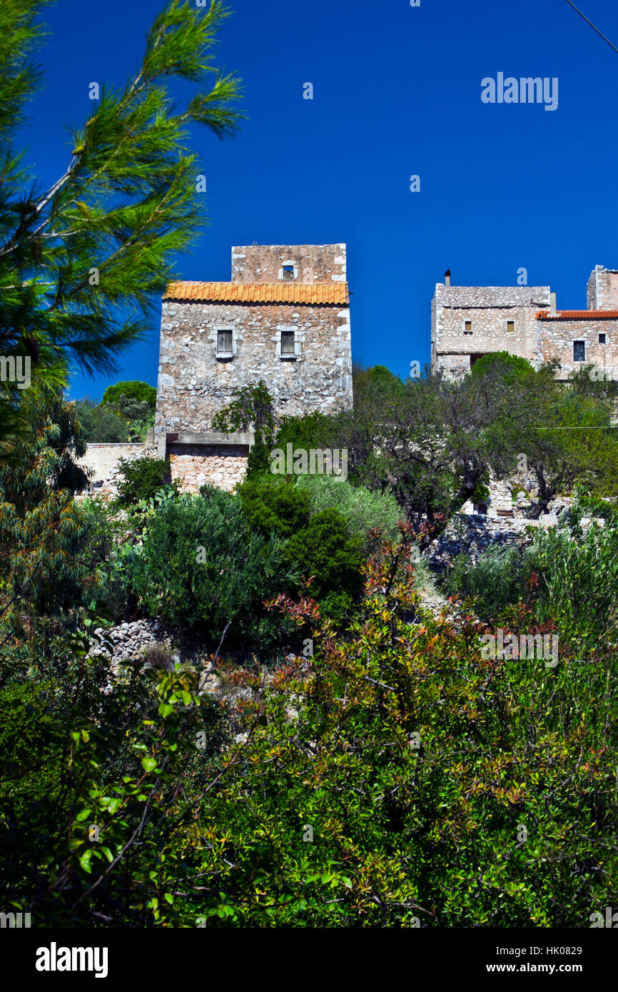 Lagia hi-res stock photography and images - Alamy