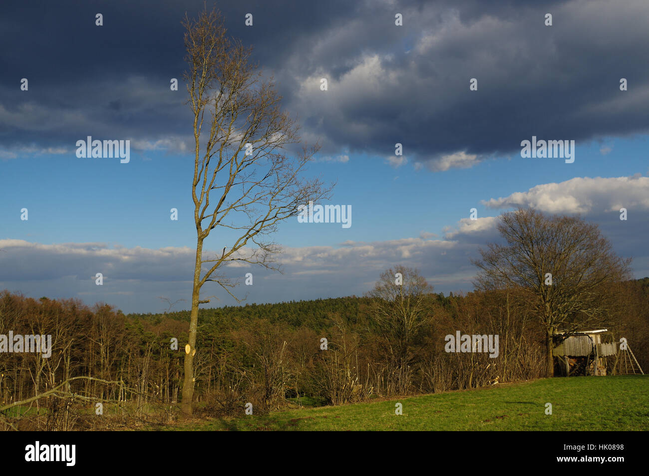 a german rural landscape with wooden house near spring forest. Black ...