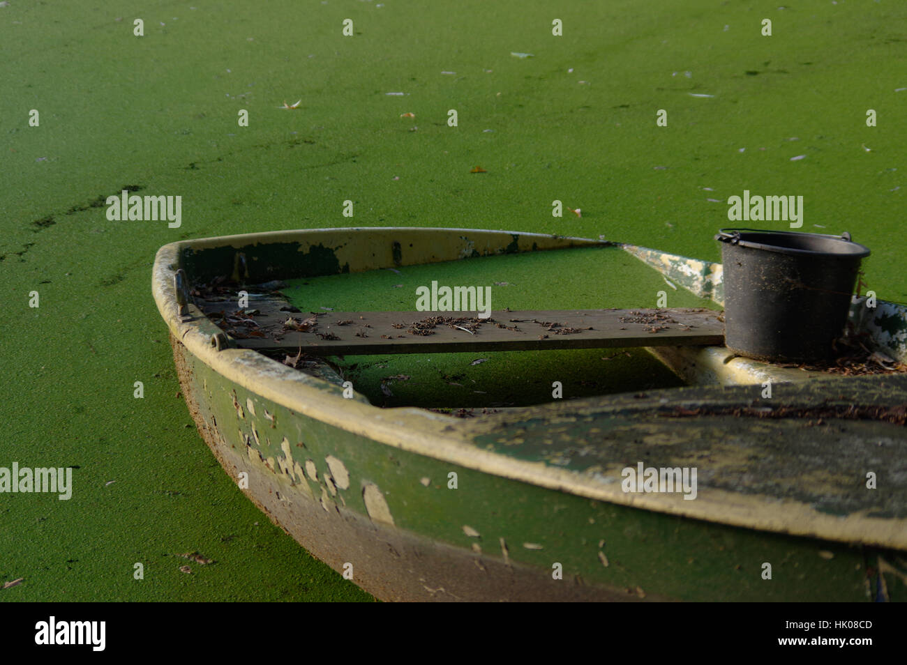 close up of part of green rowing boat submerged in water with leaves ...