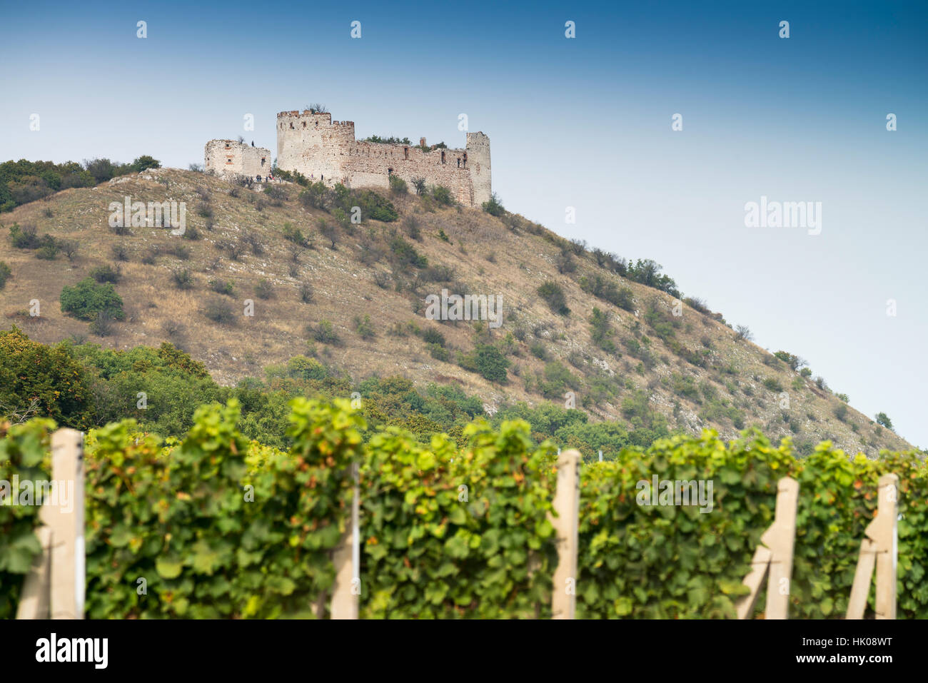 Vineyards in Wine Region Palava, South Moravia, Czech Republic, Europe ...