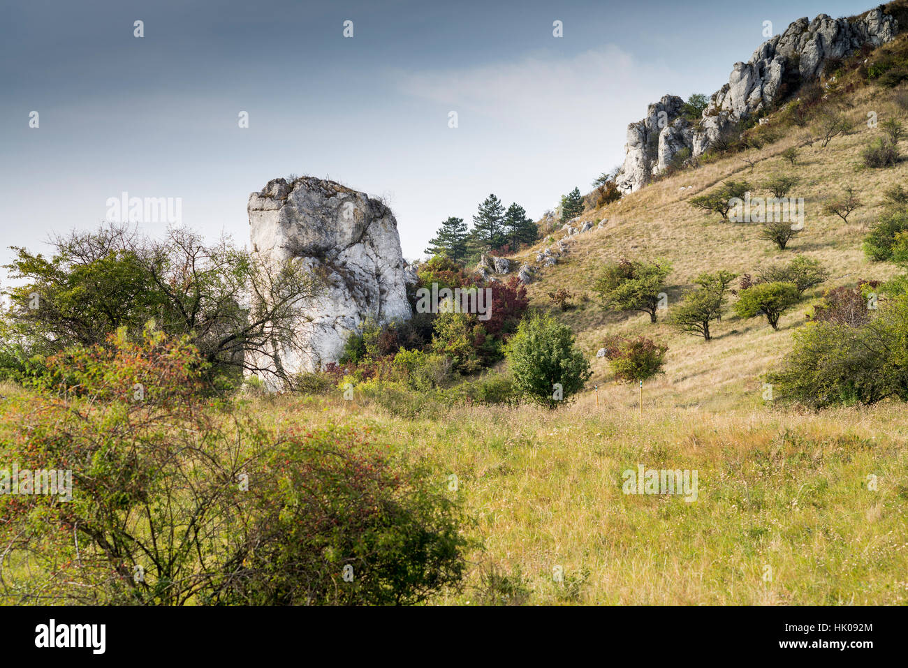 Nature trail in palava hi-res stock photography and images - Alamy