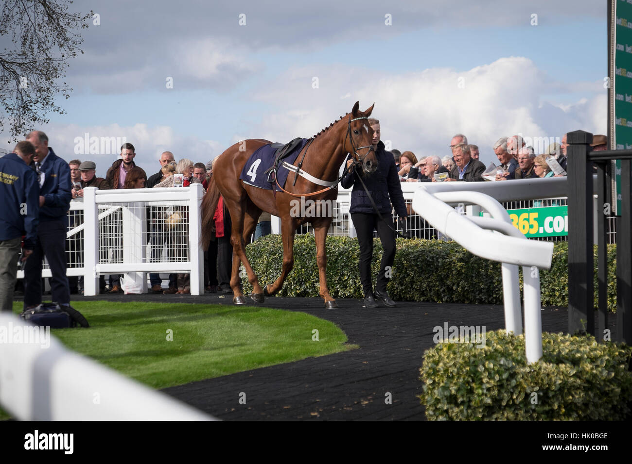 Race to the ring hi-res stock photography and images - Alamy
