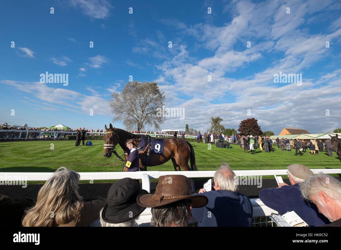 Crowd watch a horse in the parade ring Stock Photo - Alamy