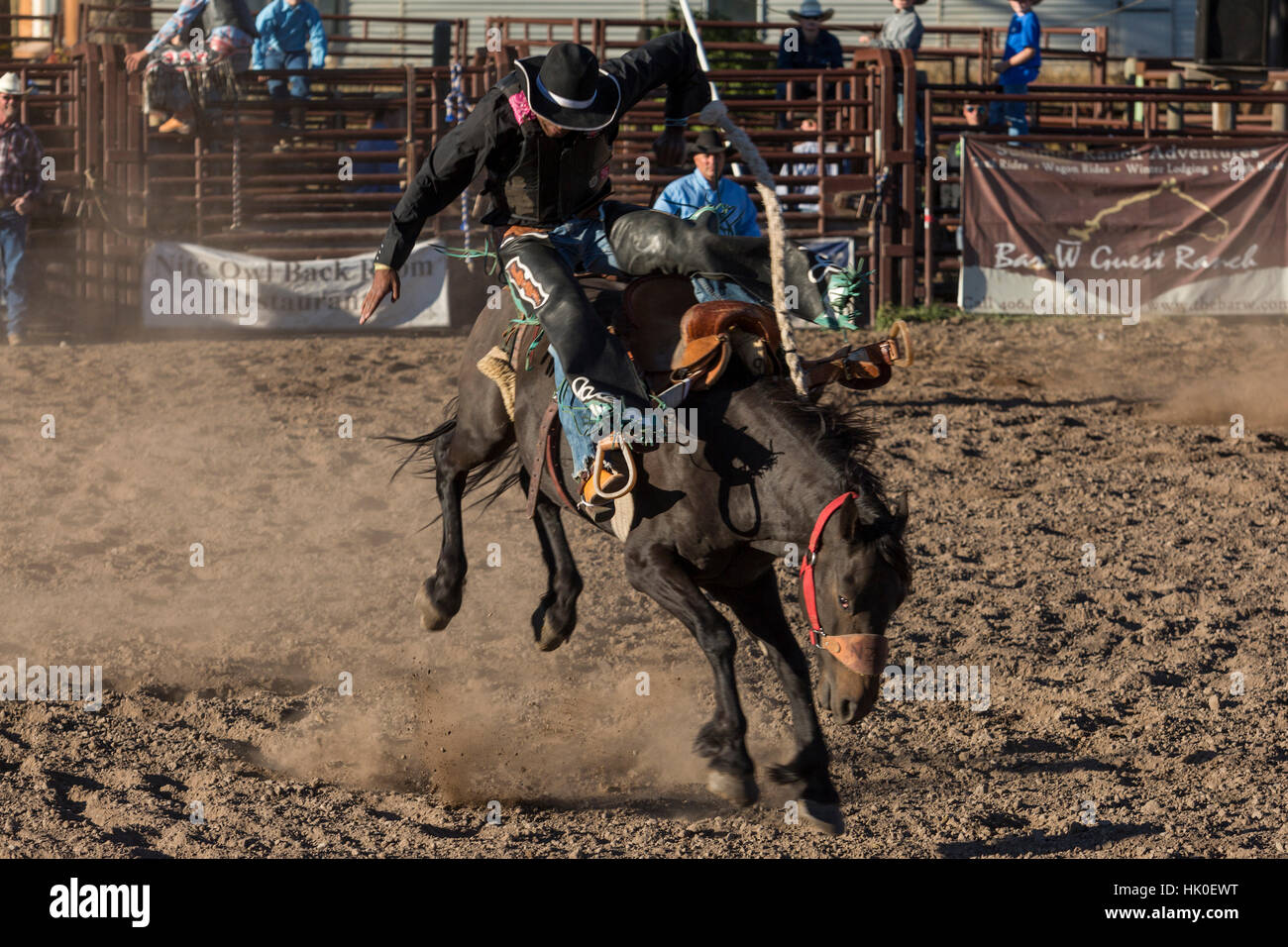 Saddle bronc riding hi-res stock photography and images - Alamy