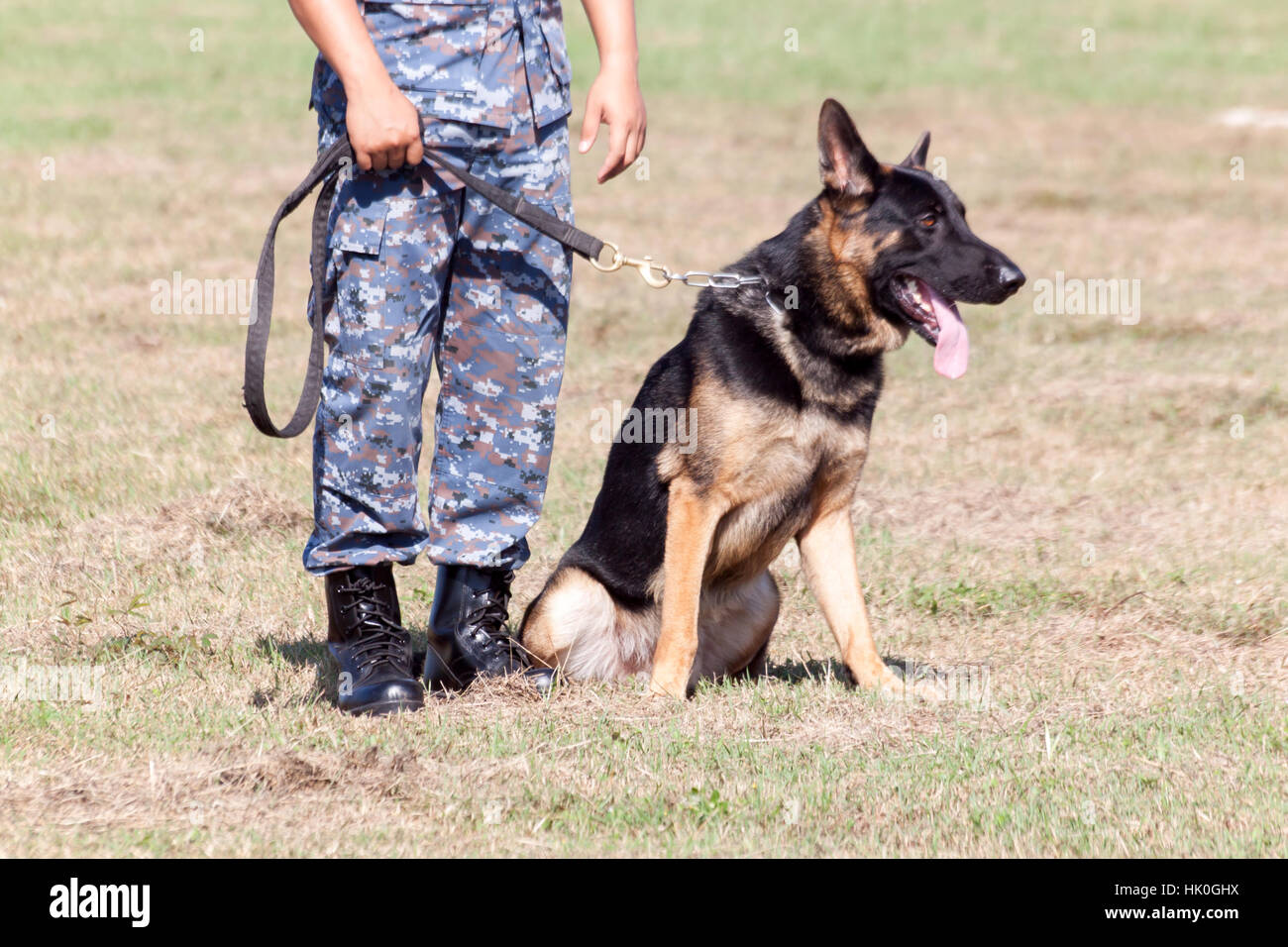 Soldiers from the K-9 dog unit works with his partner to during a ...
