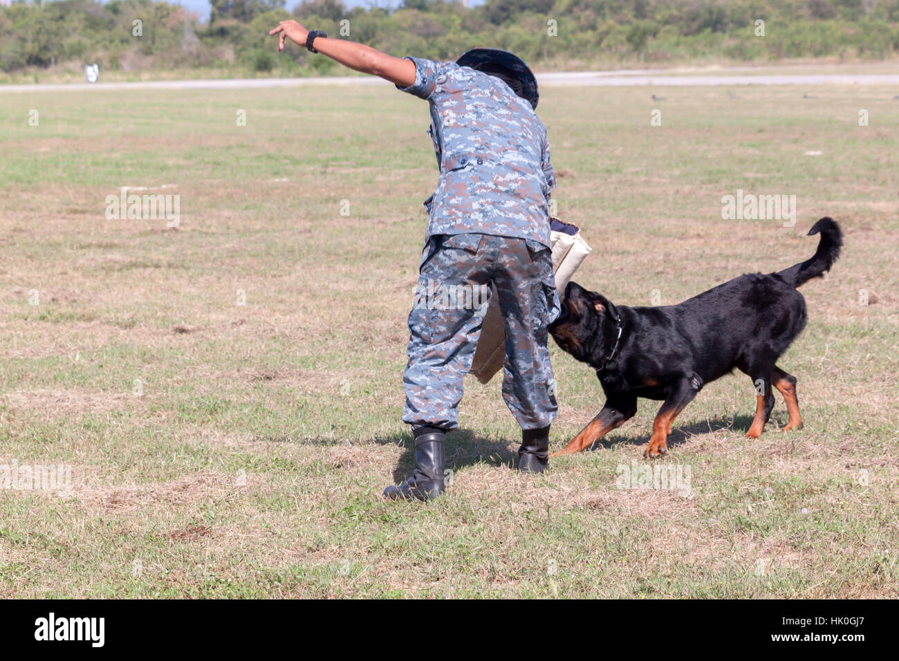 Soldiers from the K-9 dog unit works with his partner to during a ...