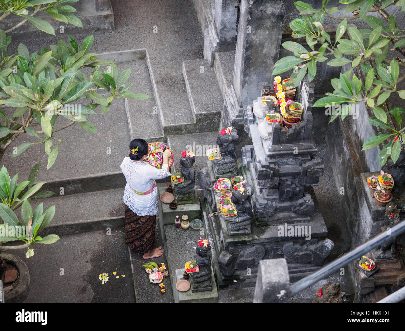Woman giving offerings at a shrine, Ubud, Bali, Indonesia, Southeast ...