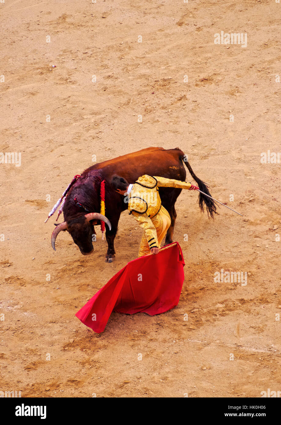 Sporting theme hi-res stock photography and images - Alamy