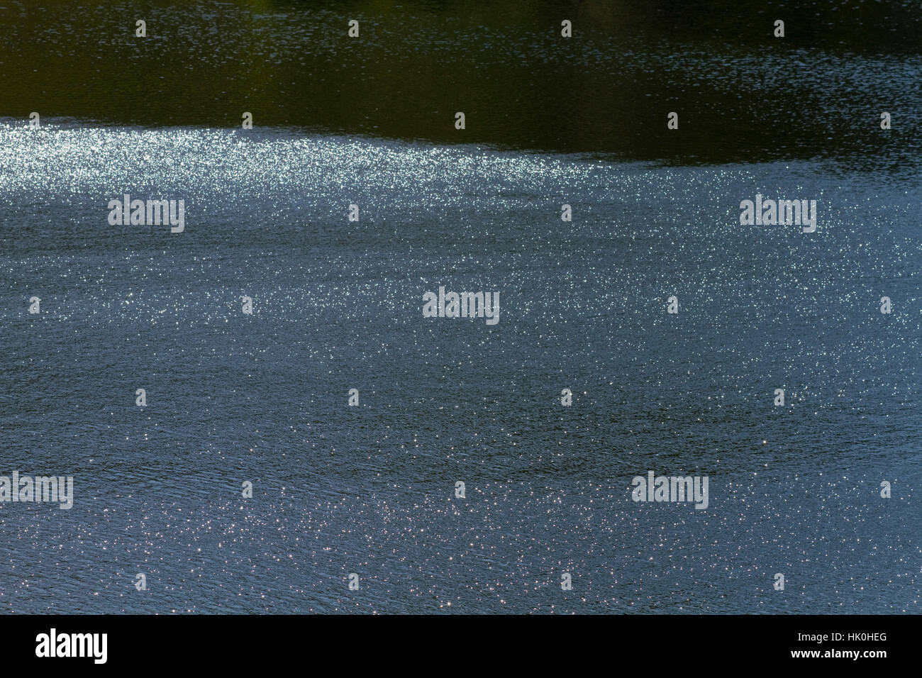 Gleaming on the surface of a lake Stock Photo - Alamy