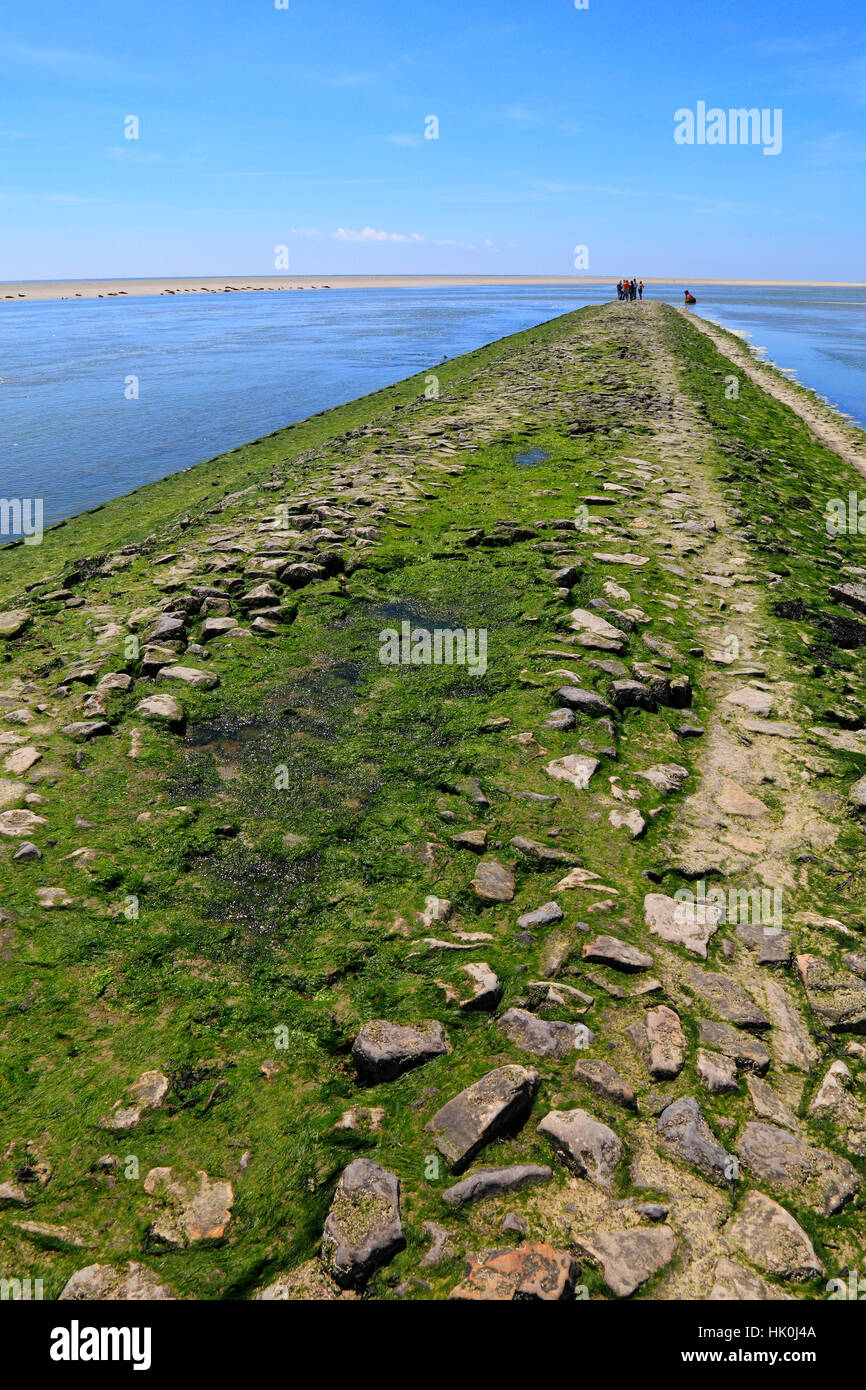 France, North Coast. Berck sur Mer Stock Photo - Alamy