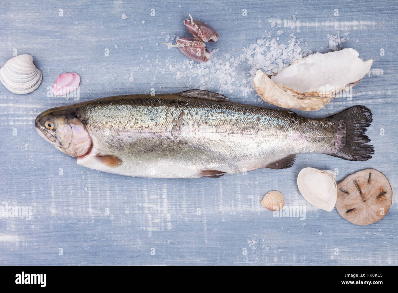angle, fish, trout, seafood, grill, barbecue, barbeque, navy, marine ...
