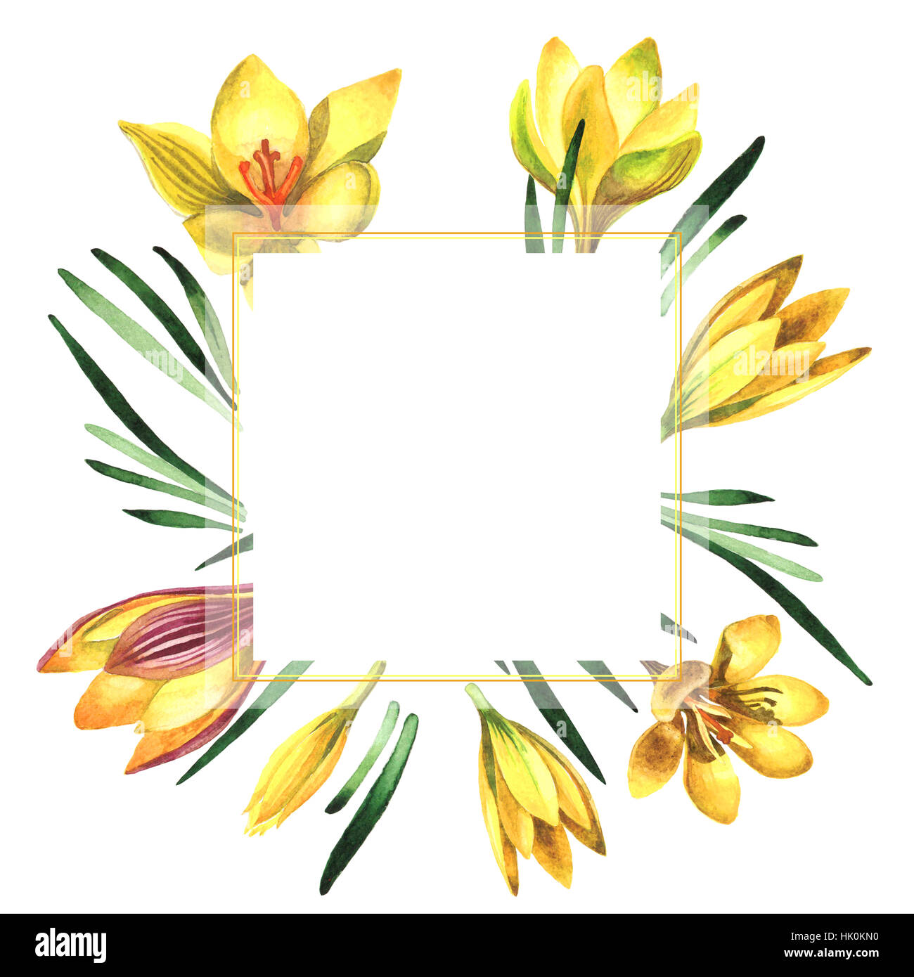 Wildflower crocuses flower frame in a watercolor style isolated Stock ...