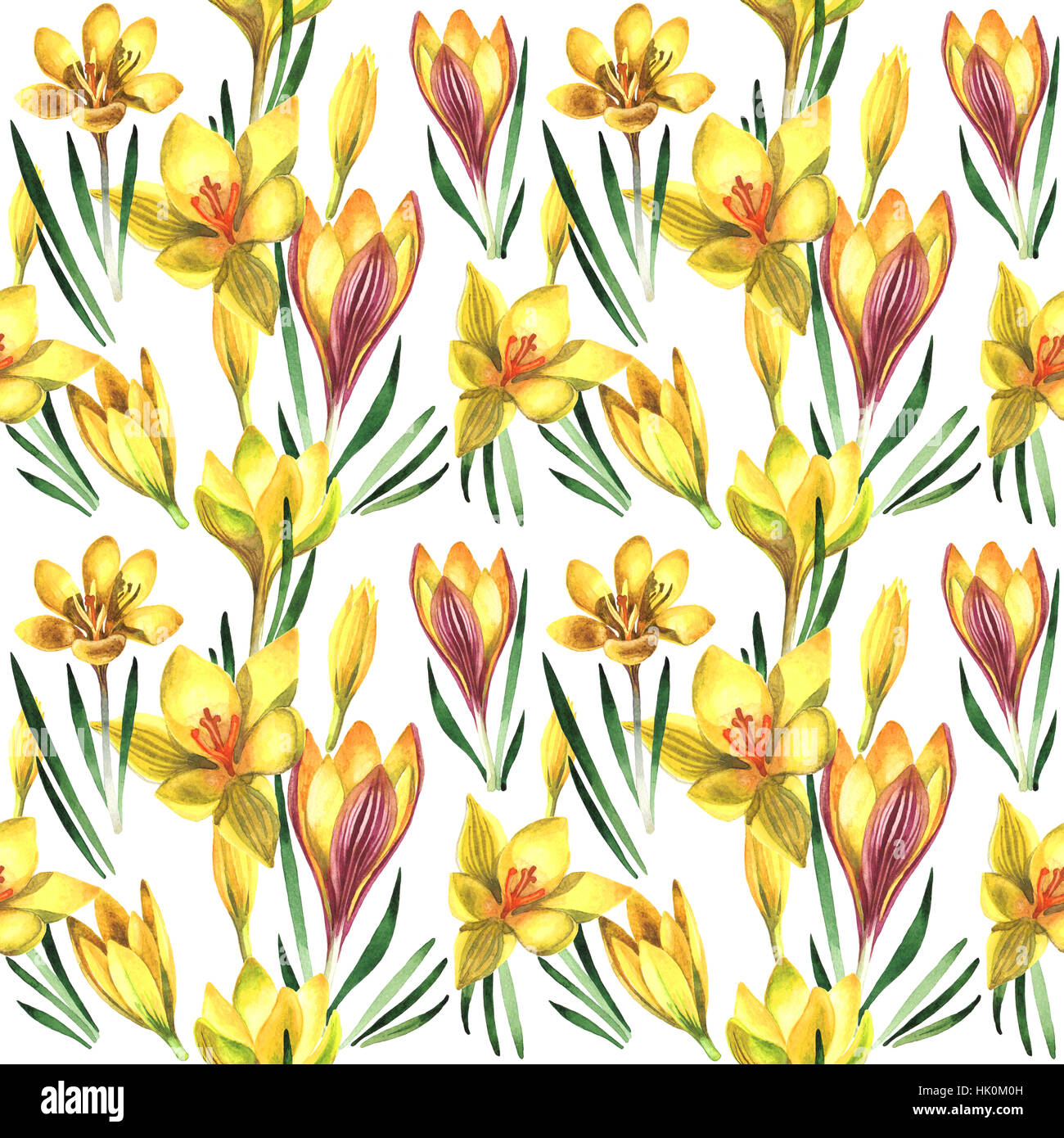 Wildflower crocuses flower pattern in a watercolor style isolated Stock ...