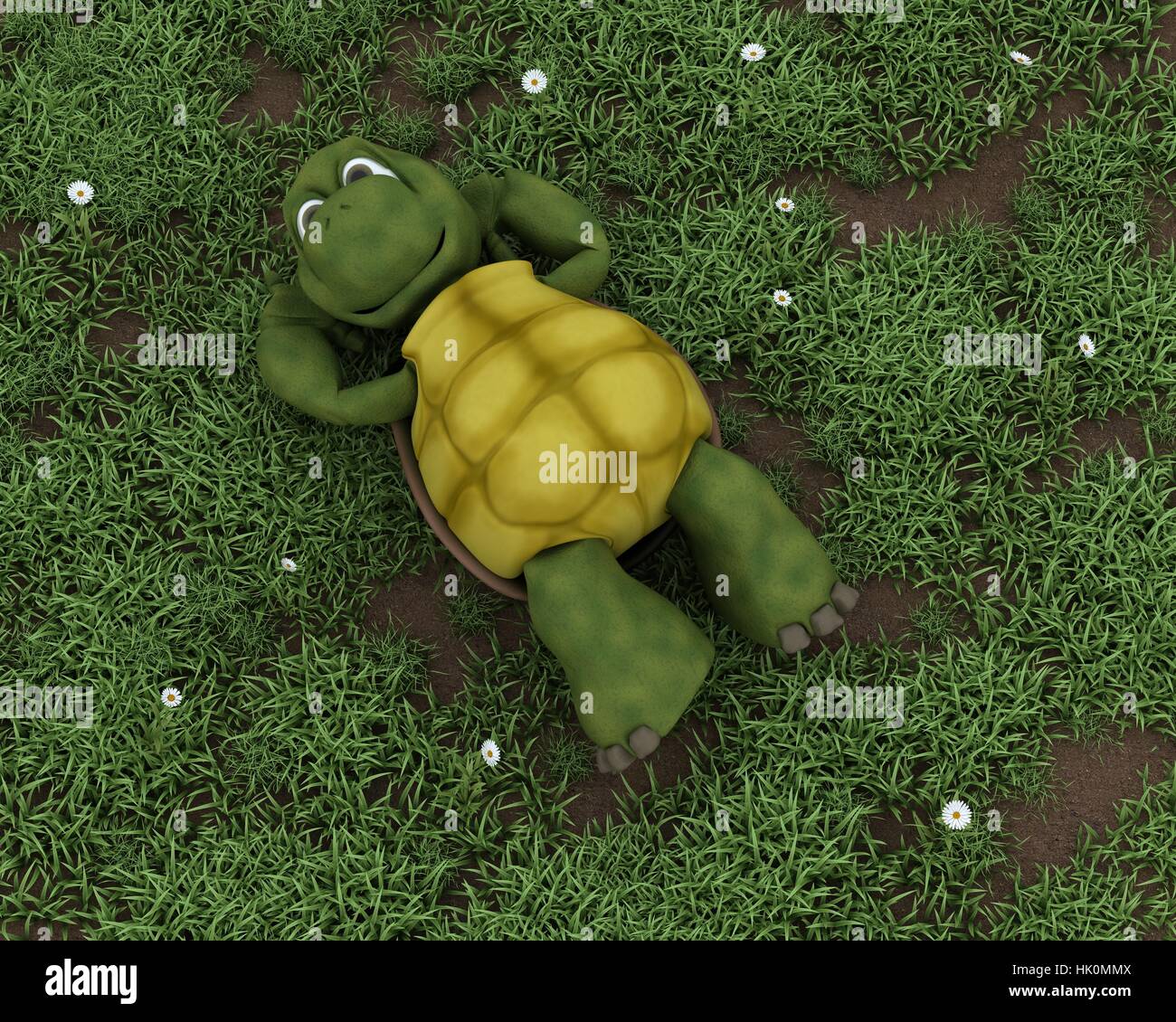 environment, enviroment, animal, reptile, summer, summerly, shell ...