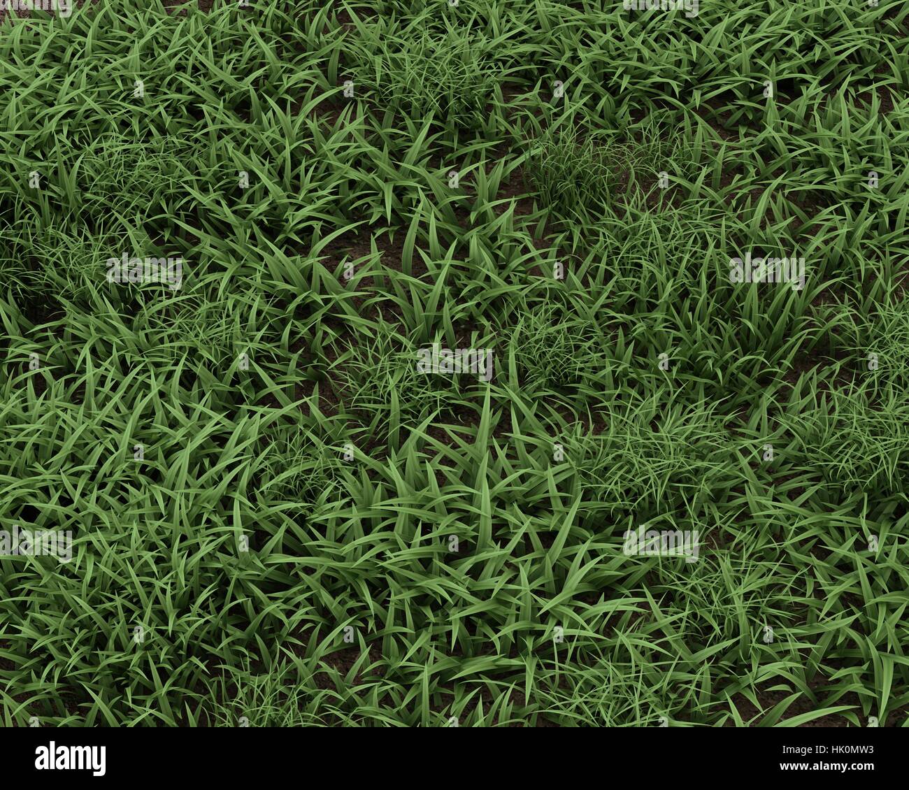 summer, summerly, spring, growth, grow, render, meadow, grass, lawn ...