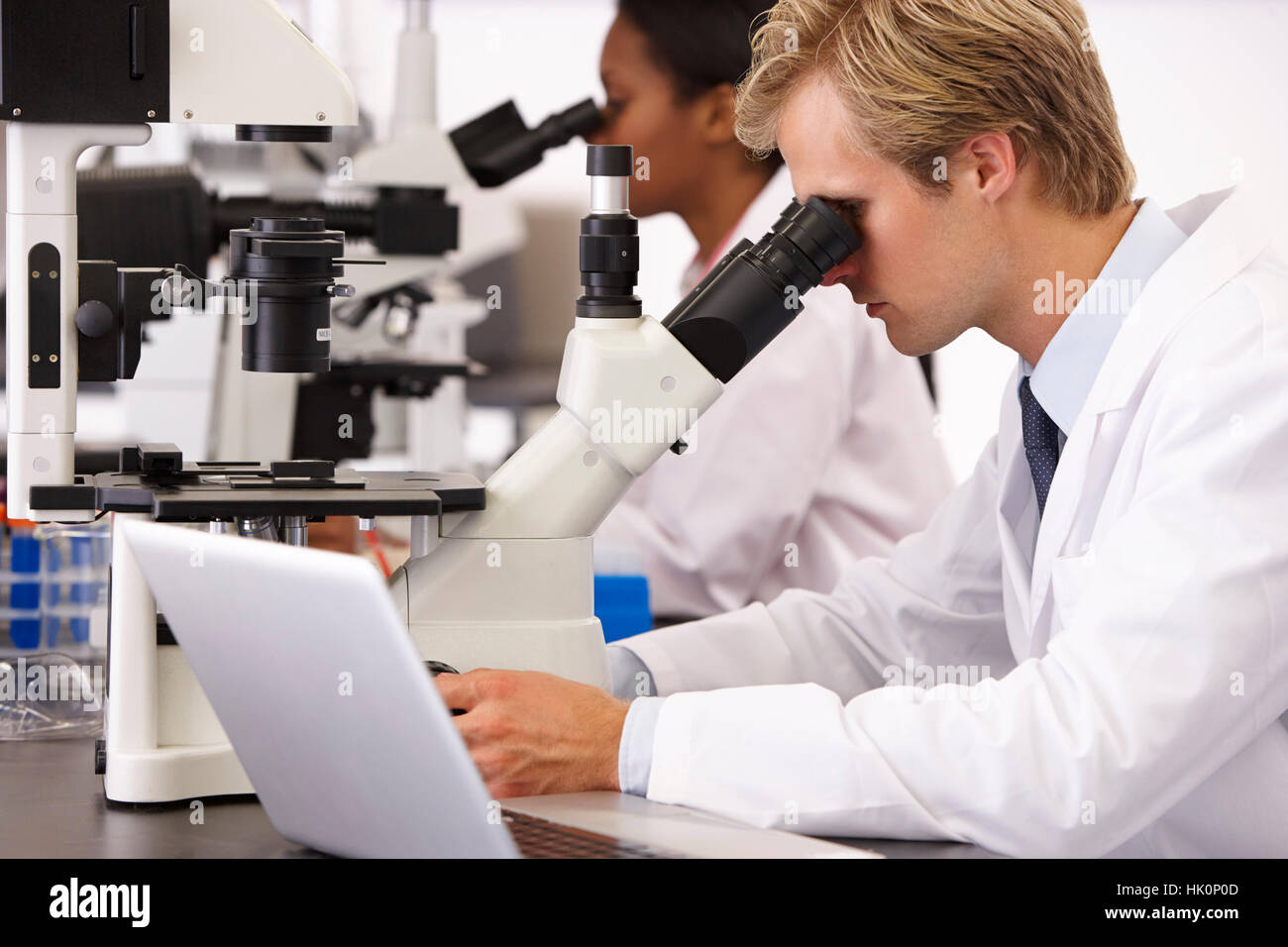 Male And Female Scientists Using Microscopes In Laboratory Stock Photo - Alamy