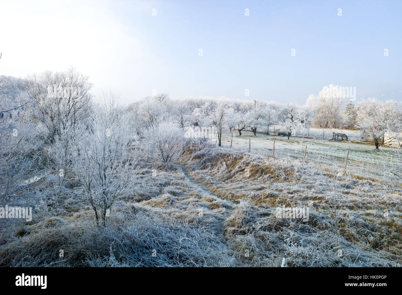 Hoar frost on trees hi-res stock photography and images - Alamy