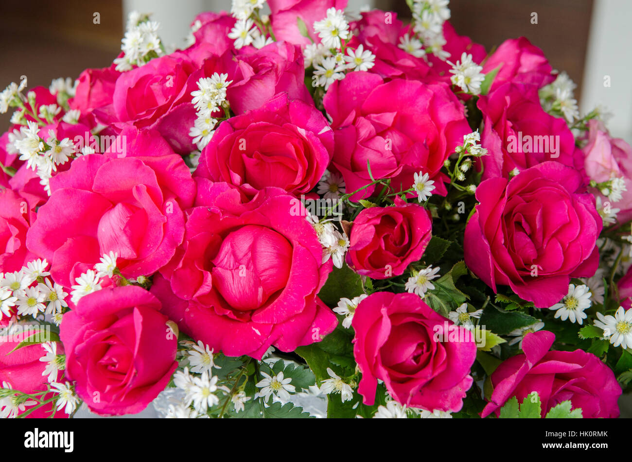 rose flower background for Valentine's Day Stock Photo - Alamy