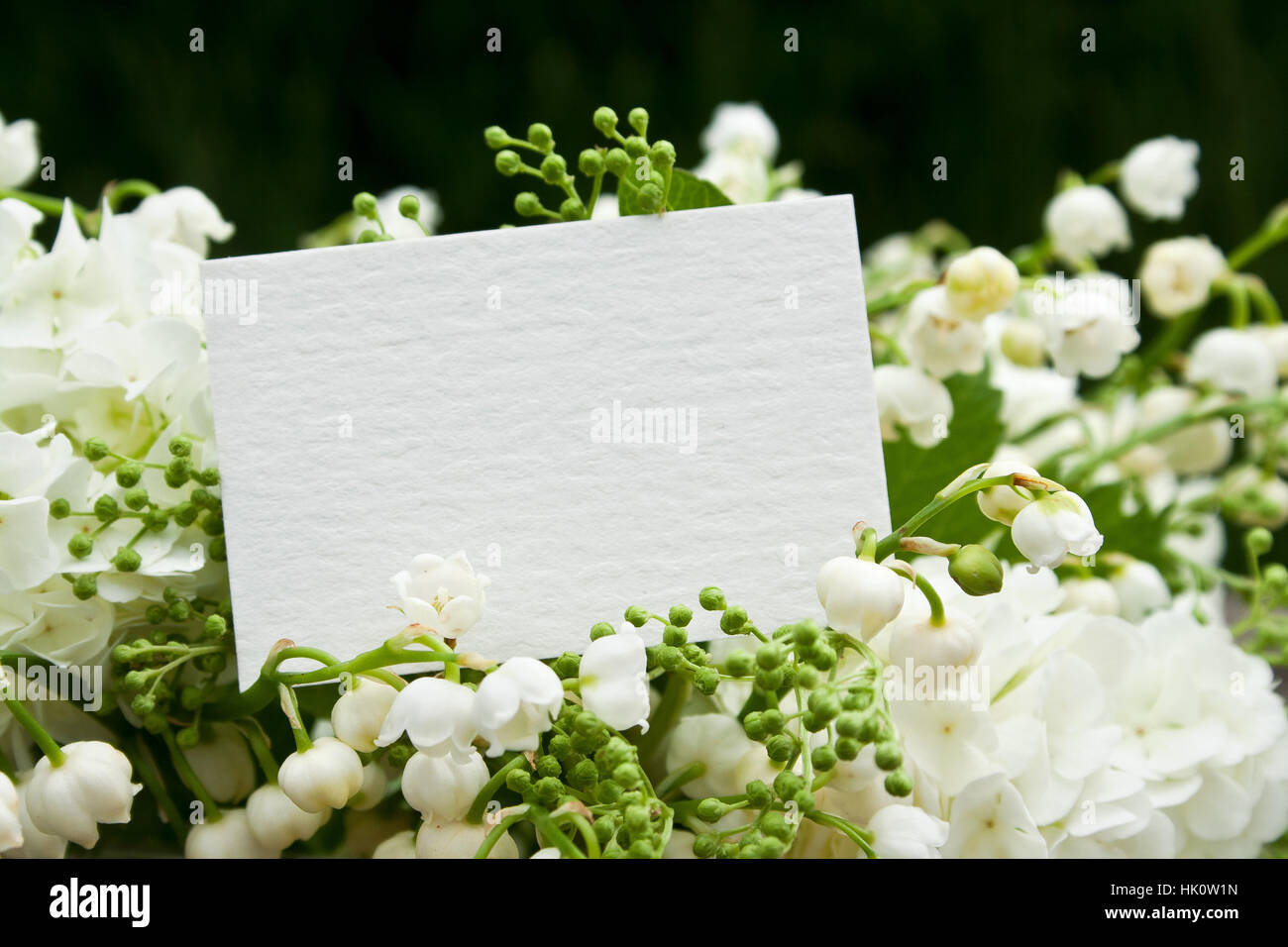 present, flower, plant, wedding, marriage, marriage ceremony, wedding ...
