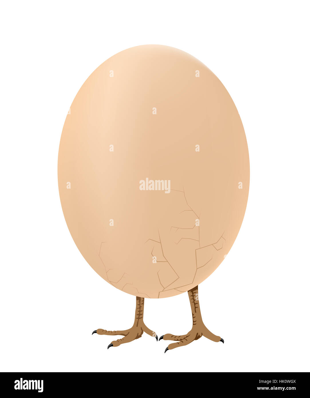 isolated, graphic, shape, one, cub, baby, new born, oval, fissured ...