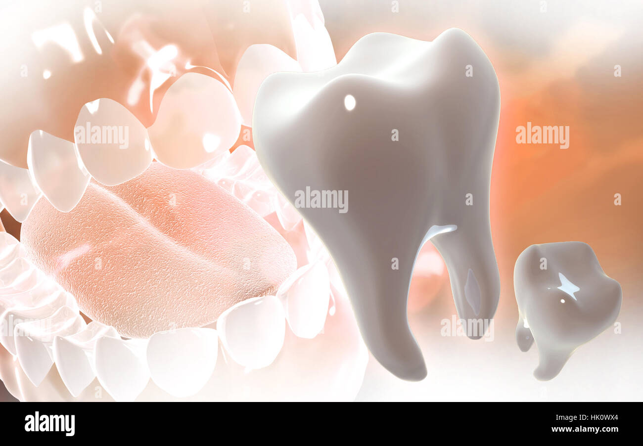 education, graphics, colour, closeup, science, teeth, illustration ...