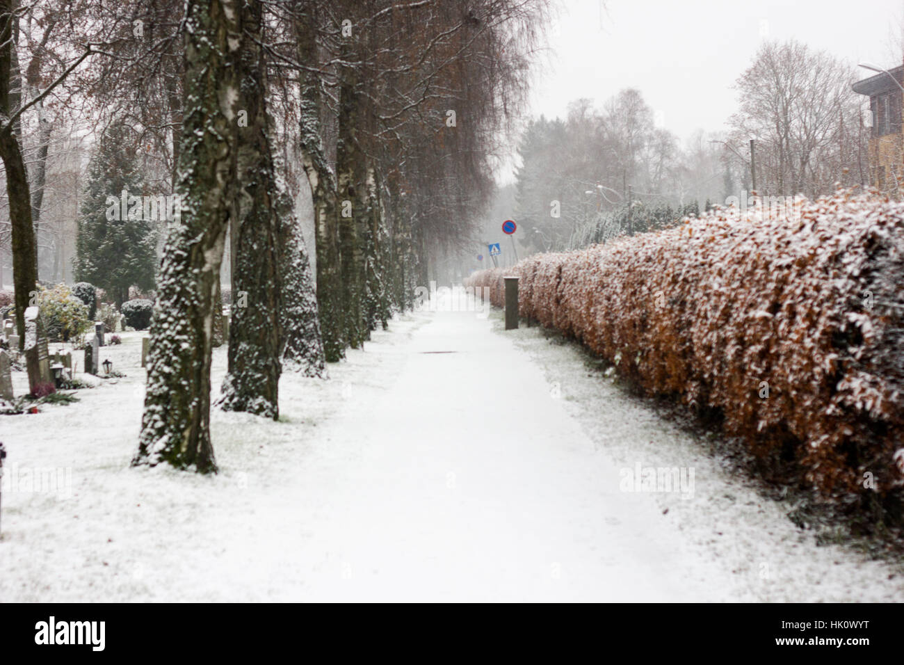 Path dead plants hi-res stock photography and images - Alamy