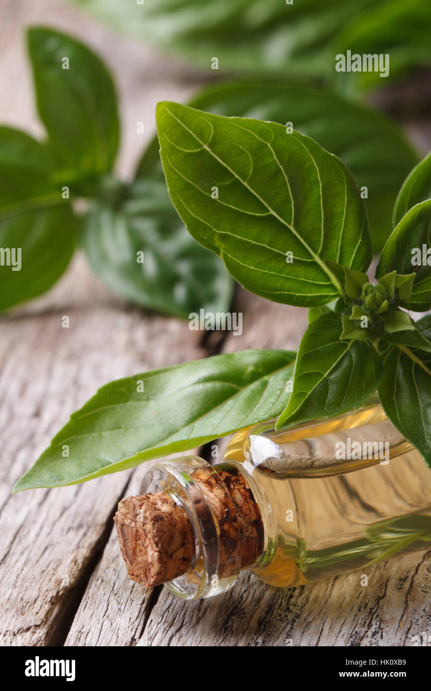 Oil and basil hi-res stock photography and images - Alamy