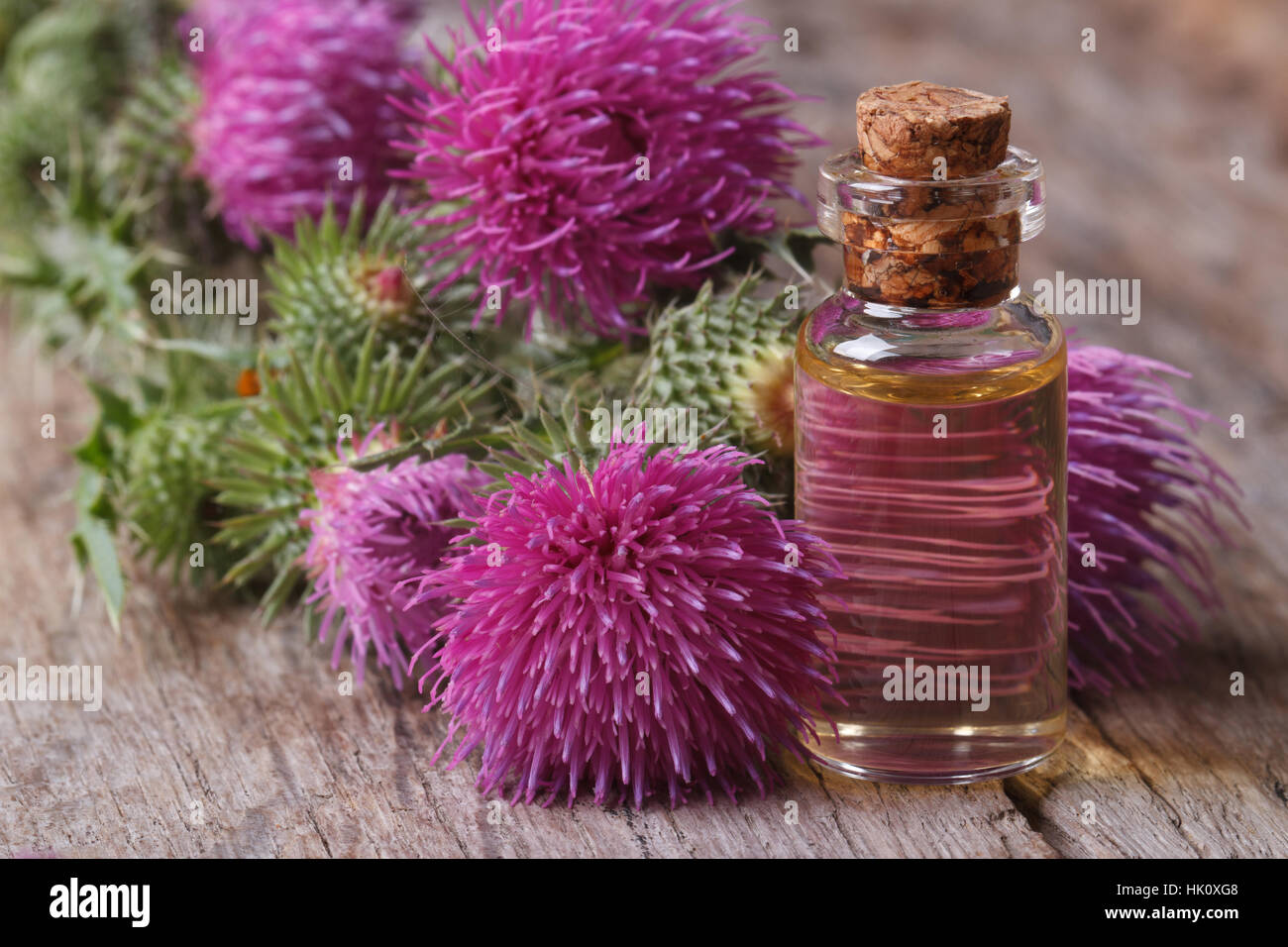 Close Up Burdock Leaf High Resolution Stock Photography and Images - Alamy
